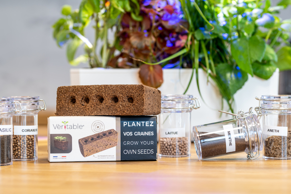 Véritable commercialise ses Lingots sans graine - Offrir International